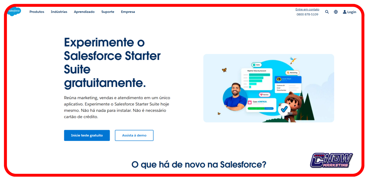 Salesforce: O que é, Principais Funcionalidades e Como Ajudar Sua ...